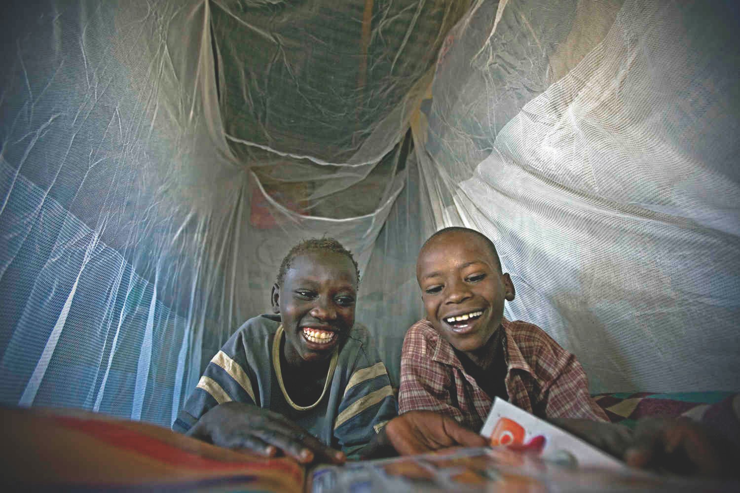 Insecticide Treated Bednets for Malaria Control - International Pest ...
